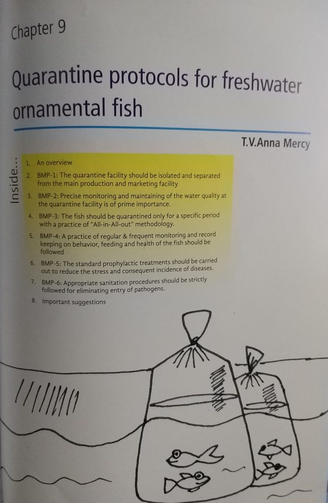 Quarantine Protocols for freshwater ornamental fishes – Ornamental ...
